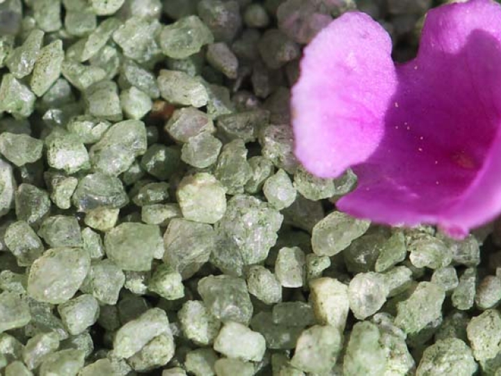 Green Sand Infill for Artificial Grass - Cost Efficient